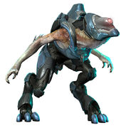 Sniper (Covenant) — WikiHalo