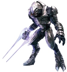 Ripa 'Moramee — WikiHalo